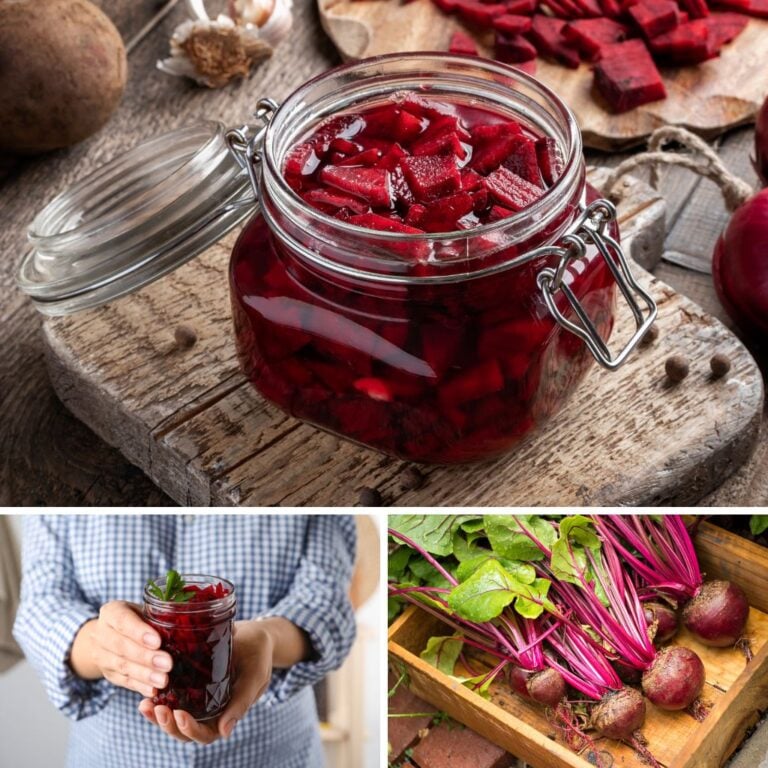 Old Fashioned Pickled Beets: The Best Way To Preserve Beets - The ...
