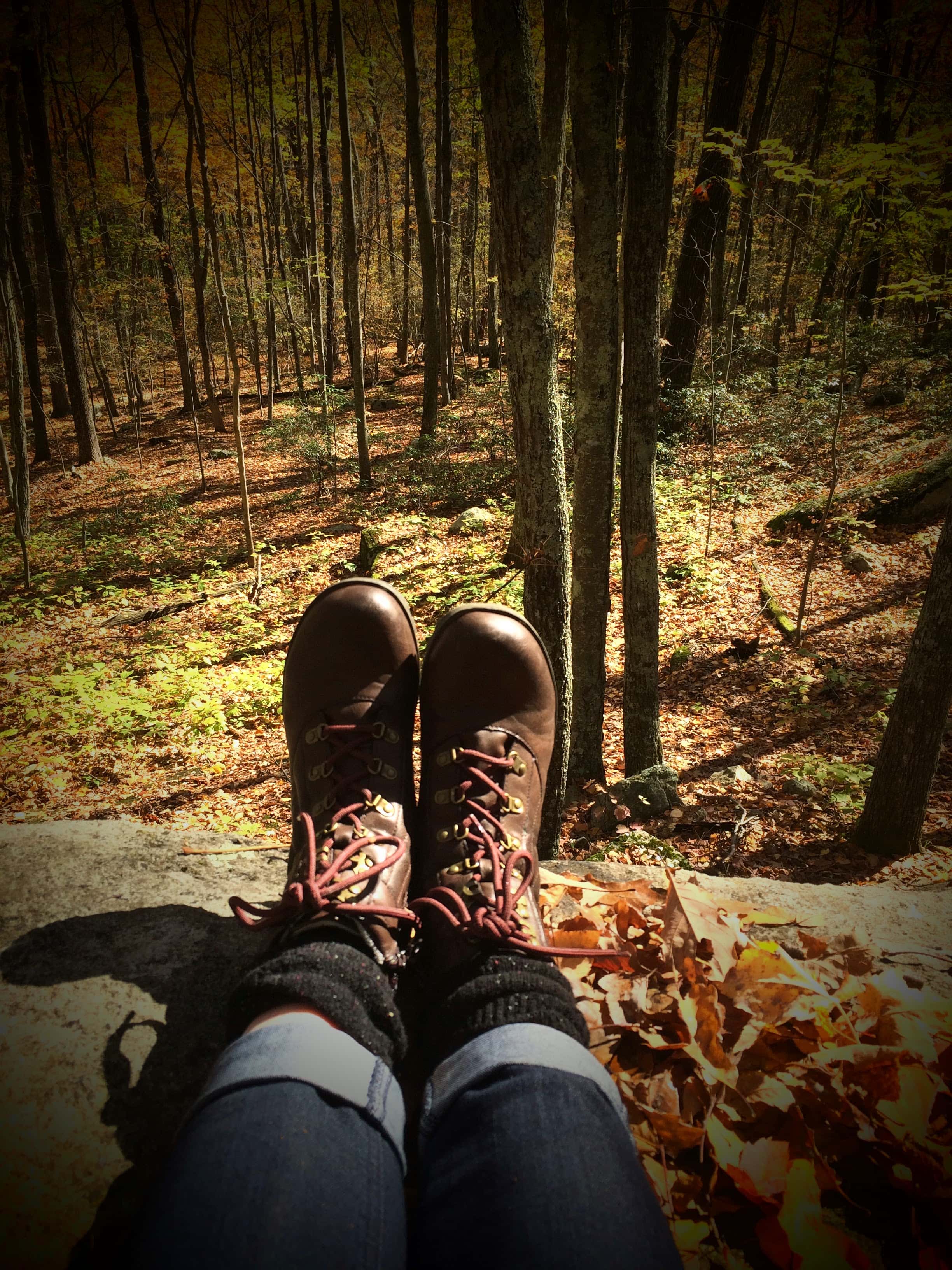 Embracing Slower Living: How To Align With Autumn’s Rhythms - The ...