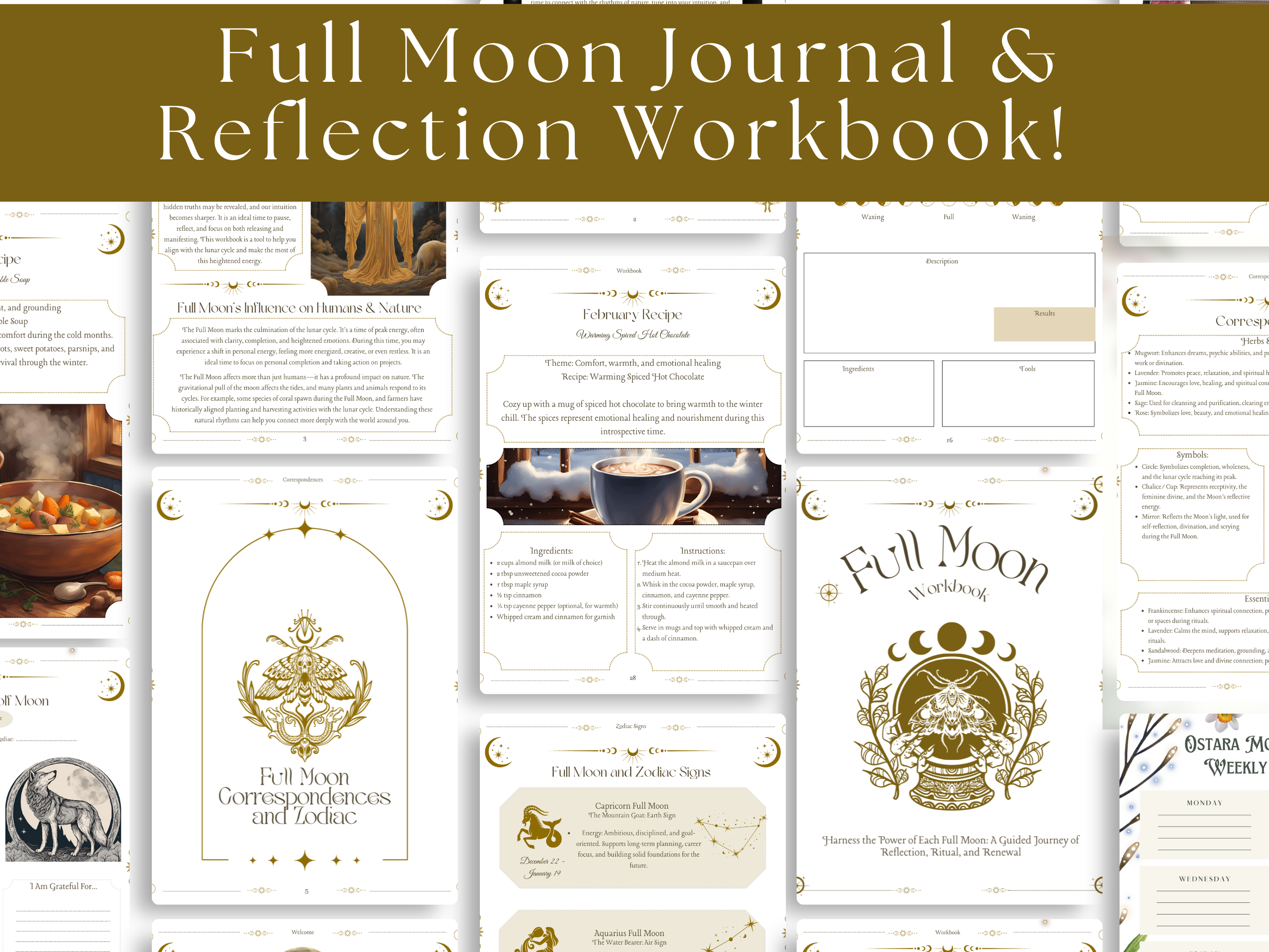 Introducing The Full Moon Journal And Reflection Workbook - The Outdoor ...