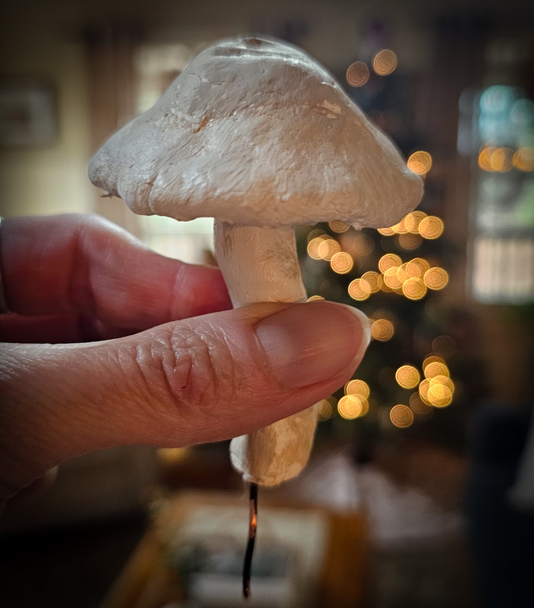 How To Make Whimsical Air Dry Clay Mushrooms - The Outdoor Apothecary