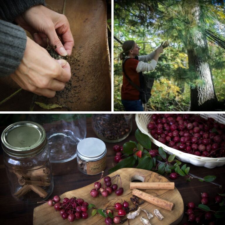 Plant Wisdom - The Outdoor Apothecary