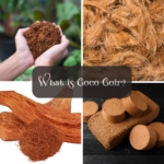 What Is Coco Coir? Benefits, Uses, And Gardening Tips - The Outdoor ...