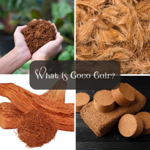 What Is Coco Coir? Benefits, Uses, And Gardening Tips - The Outdoor ...