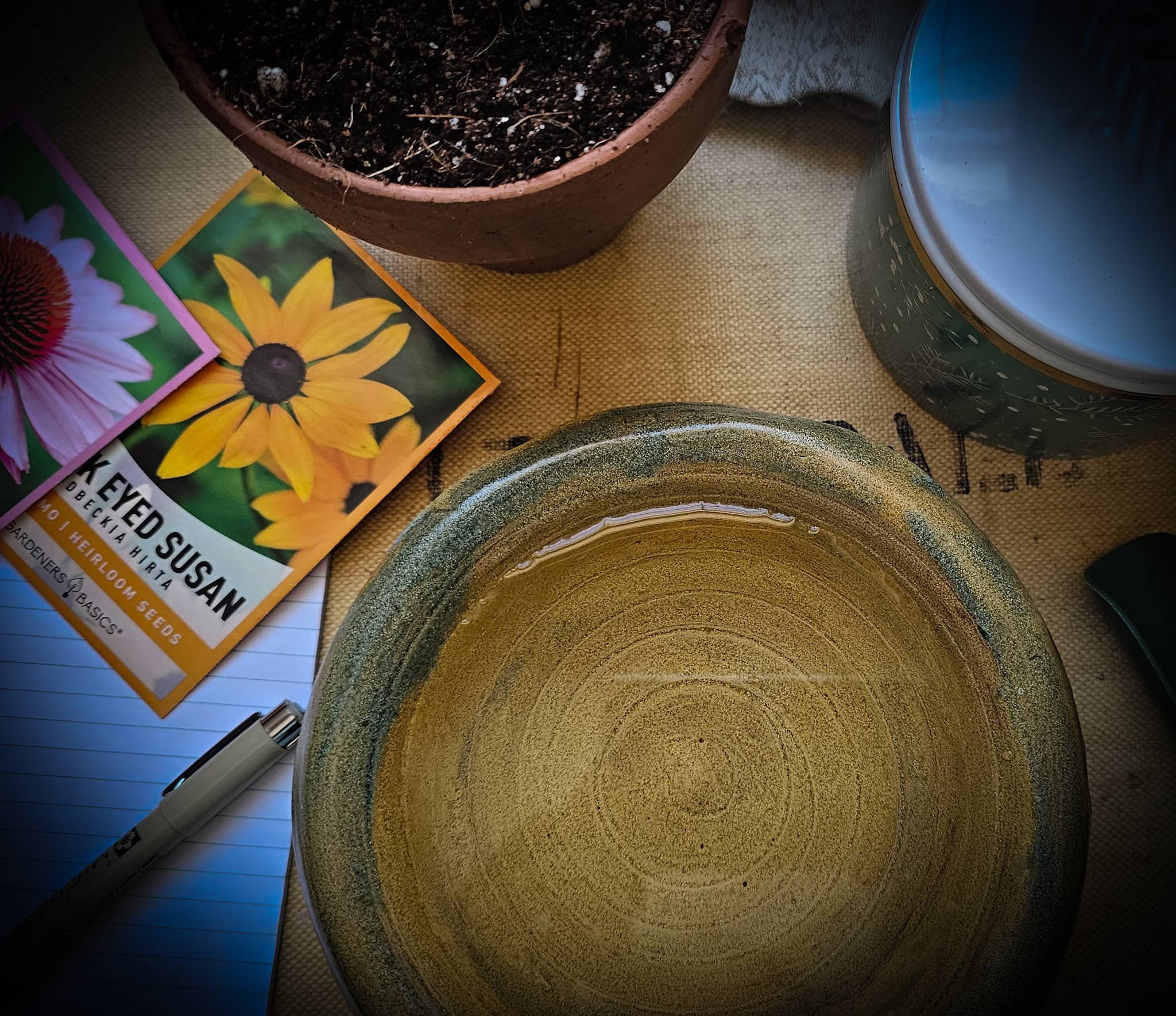 Embracing Renewal: A Simple Spring Equinox Ritual - The Outdoor Apothecary