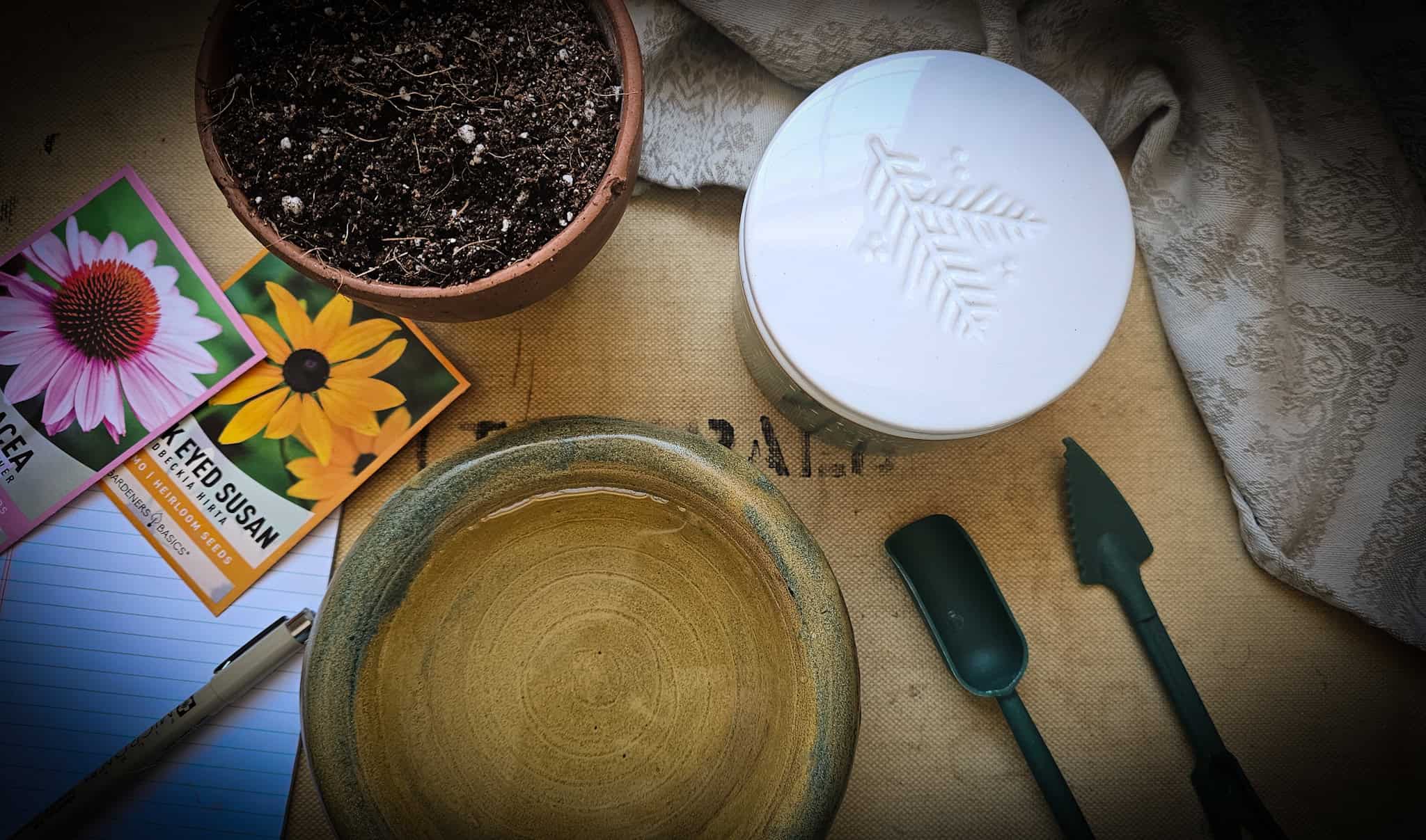 Embracing Renewal: A Simple Spring Equinox Ritual - The Outdoor Apothecary