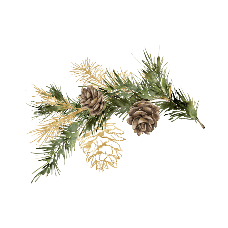 10 Spring Equinox Rituals For A Grounded Life - The Outdoor Apothecary