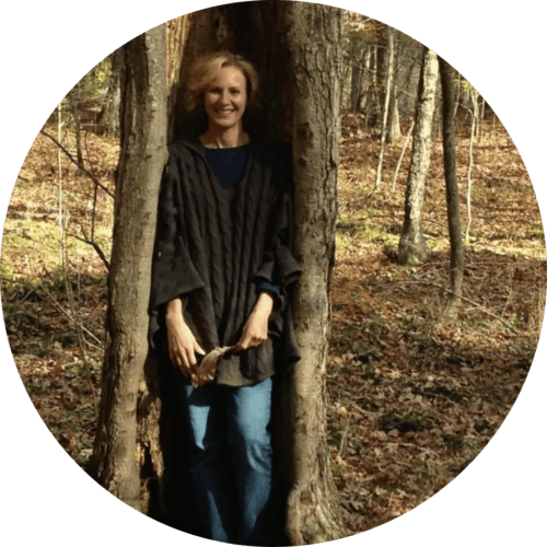 Homemade Bird Food: 3 Fun Recipes To Keep Backyard Birds Happy - The ...