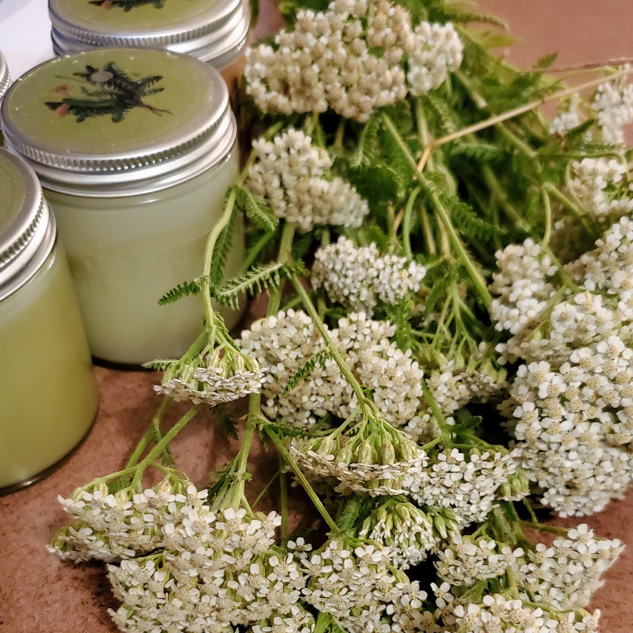 Yarrow Folklore: Warrior Wisdom And Summer Magic - The Outdoor Apothecary