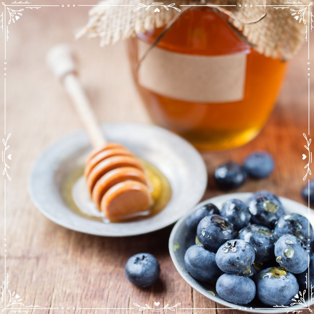 Make Delicious Honey Fermented Blueberries At Home - The Outdoor Apothecary