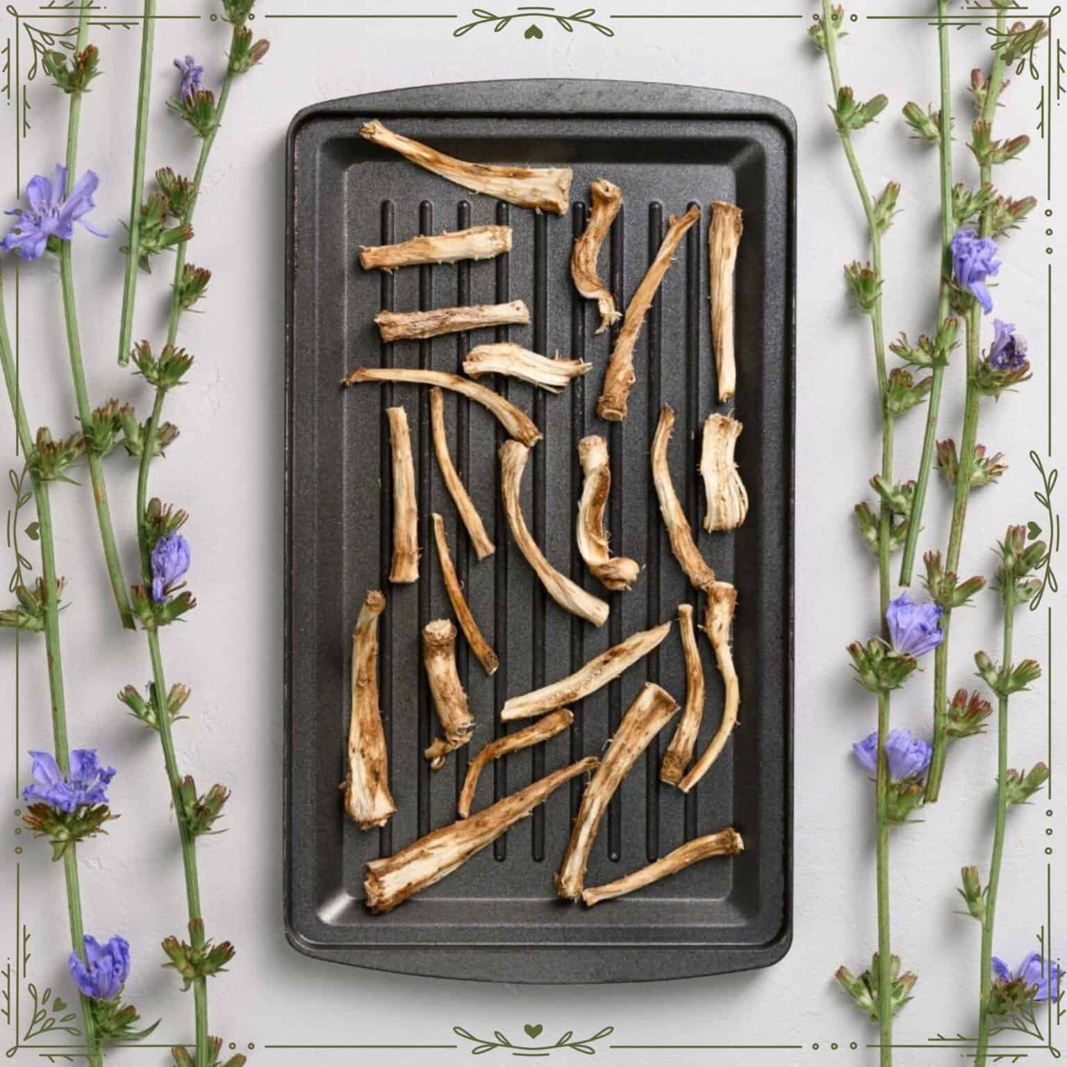 9 Powerful Root Medicine Recipes - The Outdoor Apothecary